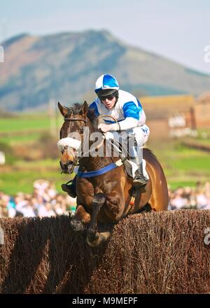 Eyton Races - Point 2 Point Horse Racing Stock Photo - Alamy