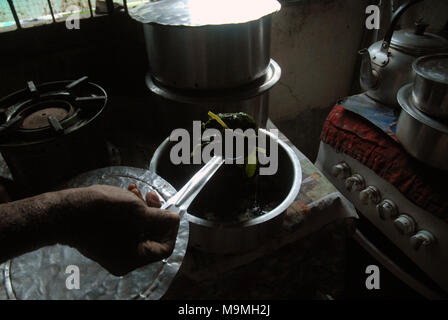 Cooking pot on stove, Suva, Fiji Stock Photo - Alamy