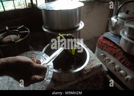 Cooking pot on stove, Suva, Fiji Stock Photo - Alamy