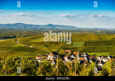 Small village in the vineyards, Ebringen, Markgräflerland, Black Forest ...