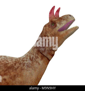 Shringasaurus was a herbivorous sauropod dinosaur that lived in India ...