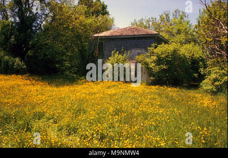 An antique barn on Cape Cod, Massachusetts, USA Stock Photo - Alamy