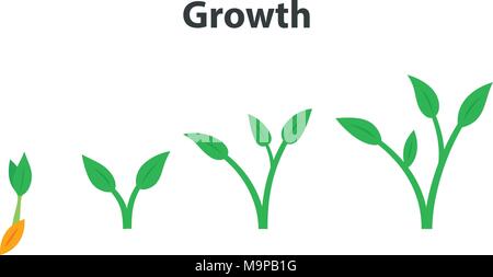 Plants growing infographic. Plants growing process. Plants growth ...