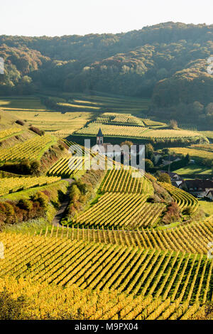 Village in the vineyards in autumn, Altvogtsburg, Oberbergen ...
