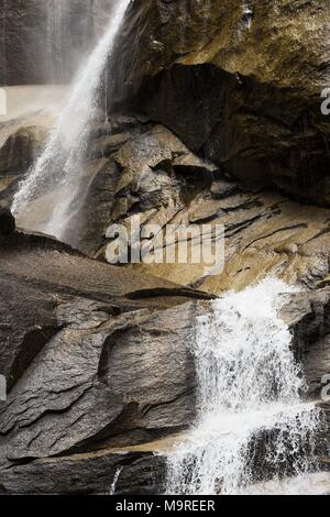 Kading Forest | usage worldwide Stock Photo - Alamy