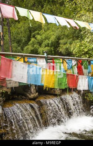 Kading Forest | usage worldwide Stock Photo - Alamy