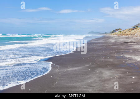 Black beach with volcanic sand, sandy beach, dunes with grass ...