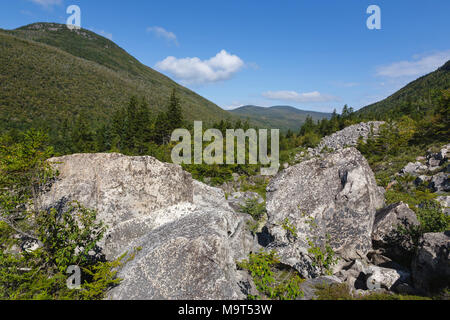 Zealand Notch from Zeacliff Trail in the White Mountains, New Hampshire ...