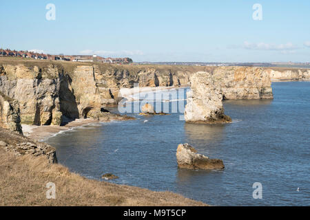 Sea stacks within Marsden bay, north east England, UK Stock Photo - Alamy