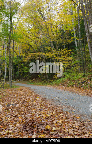 Autumn foliage along Tunnel Brook Road in Benton, New Hampshire during ...