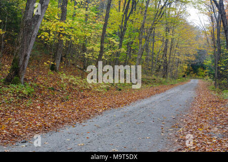 Autumn foliage along Tunnel Brook Road in Benton, New Hampshire during ...