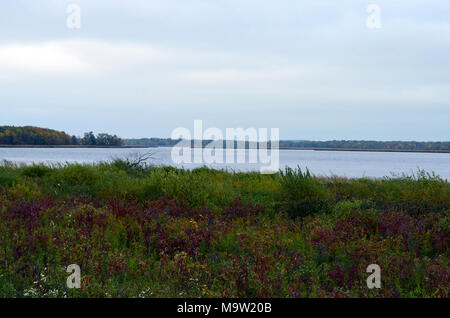 Collins Marsh Wildlife Management Area (WMA) and its historic fire ...