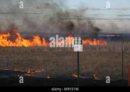 Prescribed burning on WPA refuge lands is used as a land management ...