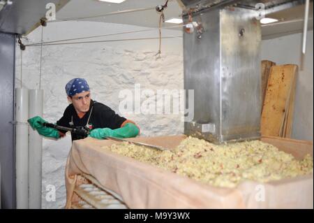 Workers making fresh apple cider at historic 1837 Franklin Cider Mill ...