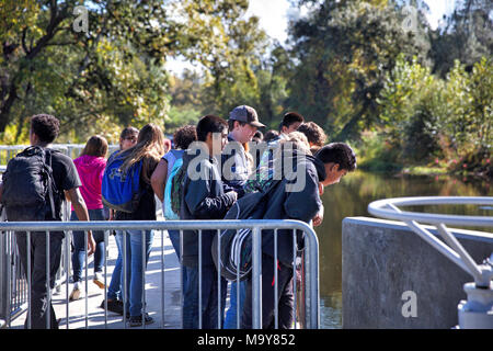 Coleman National Fish Hatchery. Public viewing at Coleman Stock Photo ...