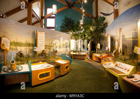 Interactive exhibits at the Necedah National Wildlife Refuge Visitor ...