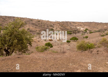 Traditional Manyatta Housing in African Desert Stock Photo - Alamy