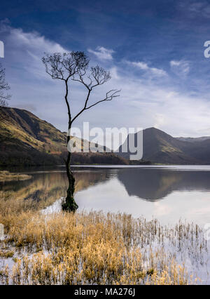 Buttermere, The High Mountains Around The Lake Reflected Back Onto The ...