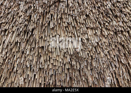 Texture of the reed roof - detail Stock Photo - Alamy
