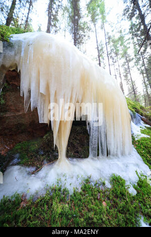 Icicles formed over rock in forest at spring Stock Photo - Alamy