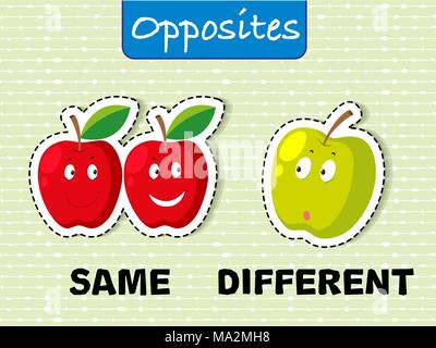 Opposite English words with same and different illustration Stock ...