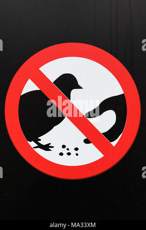 Red sign warning to not feed the pigeons Stock Photo - Alamy