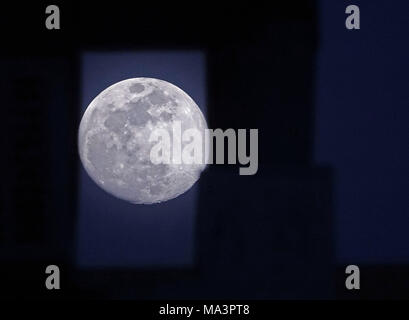 Dalian, China's Liaoning Province. 29th Oct, 2020. Denis Popovic (C) of ...