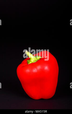 Single red pepper isolated on black and white background and glass desk ...