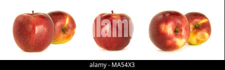 Variety of ripe red apples Ligol isolate white background. Procurement ...