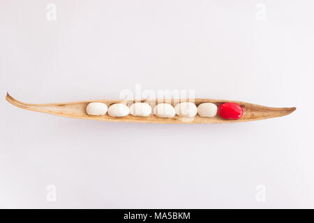 On background is in a pod the unique bean with white beans Stock Photo ...