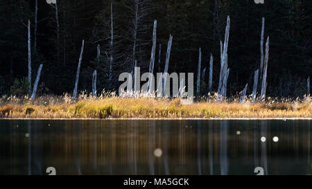North America; United States; Alaska; Winter; Snow; Shelter; Igloo ...