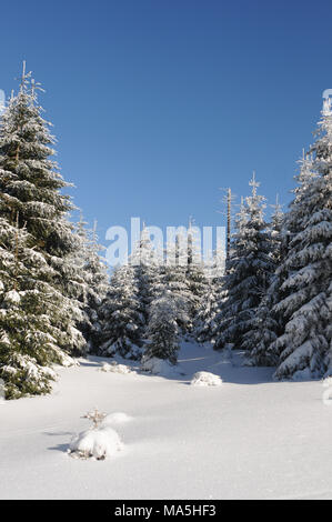 The Brocken, or Blocksberg, Harz Mountains, Germany, c1890. Artist ...
