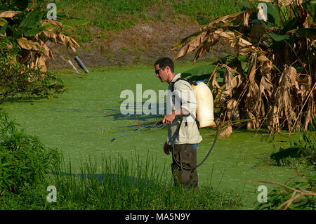 Mosquito control spraying at the man made wetlands Green Cay Nature ...