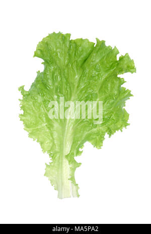 romaine lettuce path isolated on white Stock Photo - Alamy