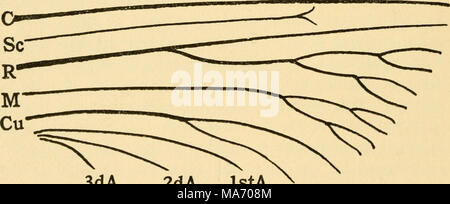 . Elementary lessons on insects . 2dA IstA Cu2 Stock Photo - Alamy