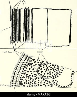 Diagram of Time Differences Stock Photo - Alamy