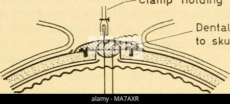 . Electronic apparatus for biological research . Cement Stock Photo - Alamy