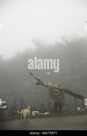 shepherd in rain Stock Photo - Alamy