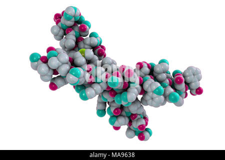 Parathyroid glands, computer illustration Stock Photo - Alamy