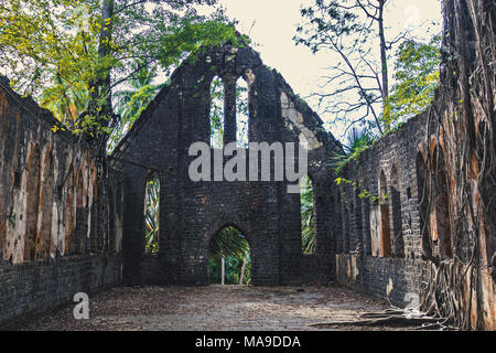 Ruins of British colonial building overgrown with roots. Ross island ...