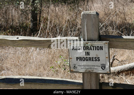 Conservation work in progress on the ancient Oxford Castle Mound ...