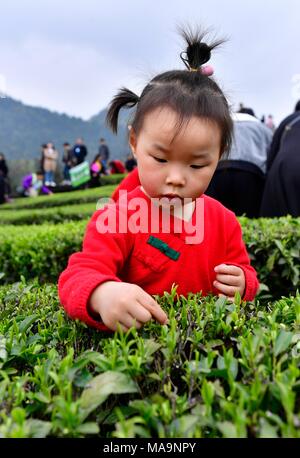 Tea Enshi China Stock Photo - Alamy