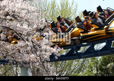 Tokyo, Japan. 31st Mar, 2018. People enjoy to see fully bloomed cherry ...