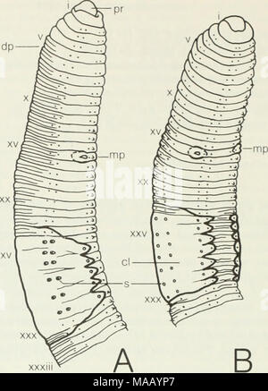 . The earthworms (lumbricidae and sparganophilidae) of Ontario . XXV ...