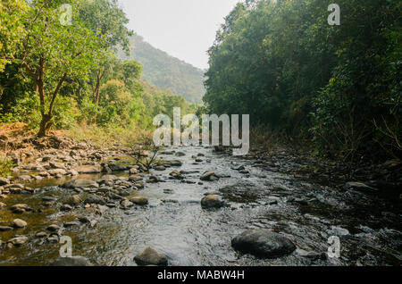 Scenic nature pathway to Mainapi Waterfall though the evergreen and ...