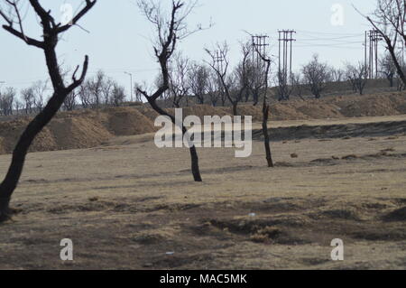 Random real Pictures Stock Photo - Alamy