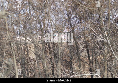 Random real Pictures Stock Photo - Alamy