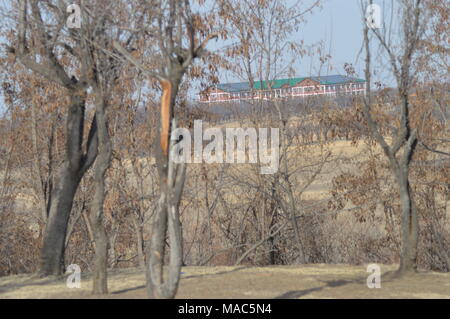 Random real Pictures Stock Photo - Alamy