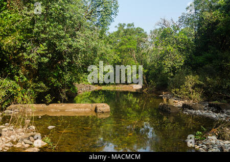 Scenic nature pathway to Mainapi Waterfall though the evergreen and ...