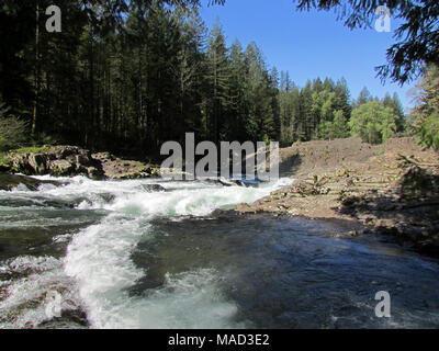Lucia Falls Park at Lewis River in WA Stock Photo - Alamy